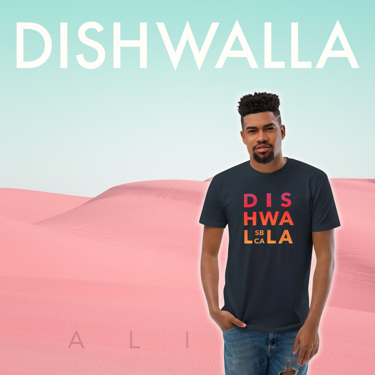 DISHWALLA CD SHIRT BUNDLE - Pavement Music